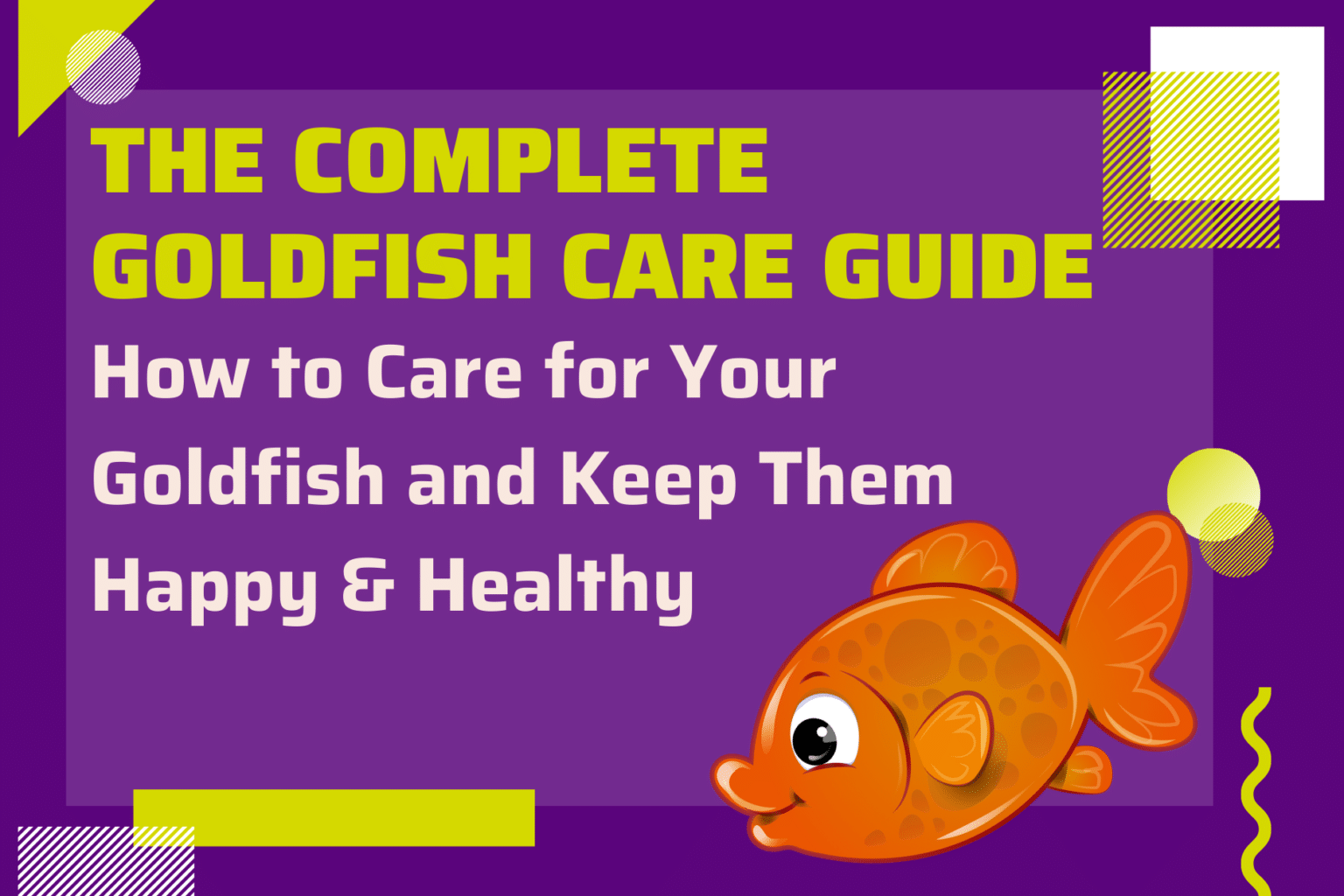 The Complete Goldfish Care Guide: How to Care for Your Goldfish and ...